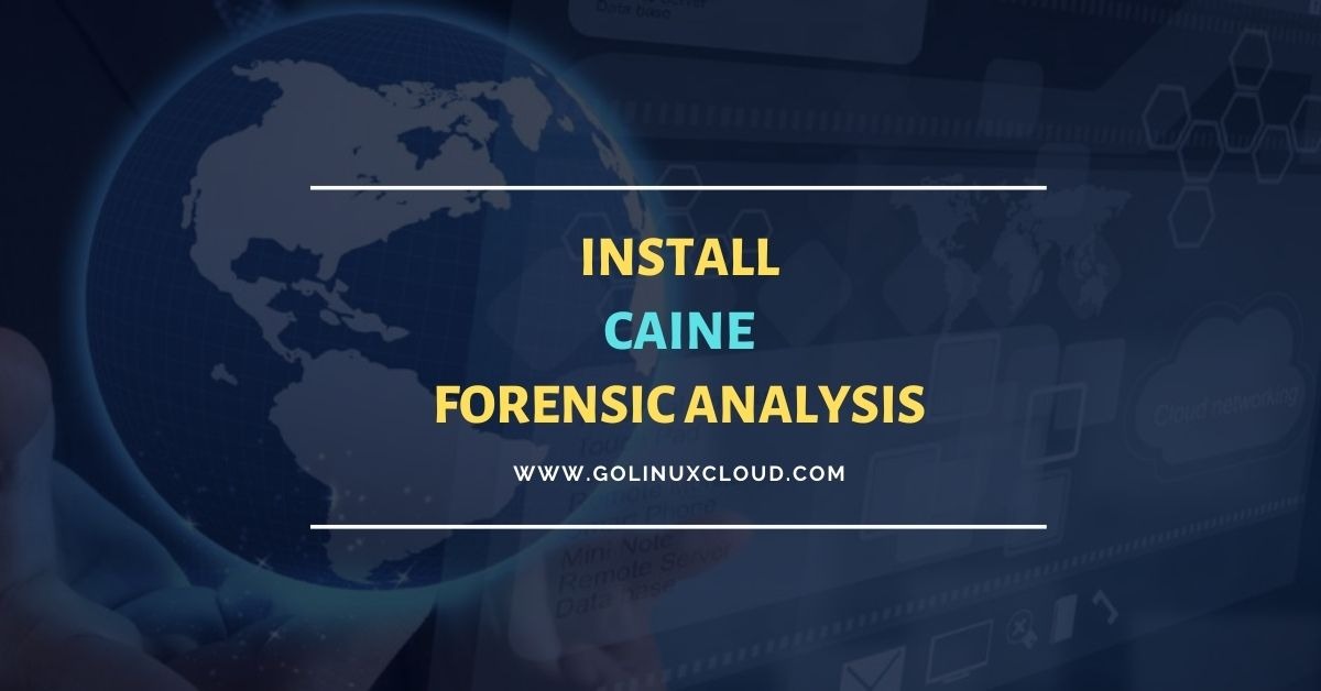 How to install Caine 11.0 VM [Step-by-Step] | GoLinuxCloud