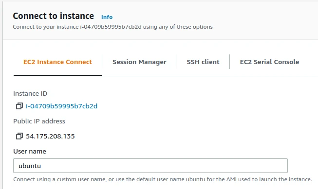 How to install Jenkins on EC2 instance [Step-by-Step] | GoLinuxCloud