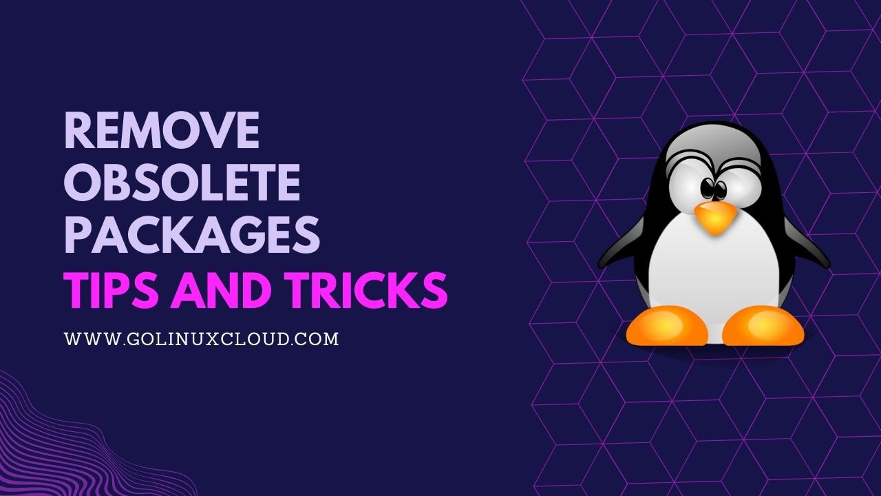 How to remove obsolete packages in Ubuntu? | GoLinuxCloud